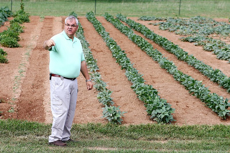 Jail gardens net meals, savings | Northwest Arkansas Democrat-Gazette