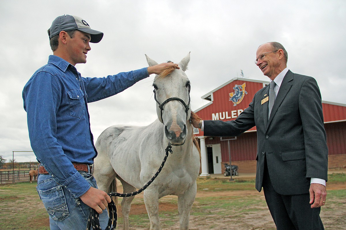Arrest made in SAU horse thefts | Northwest Arkansas Democrat-Gazette