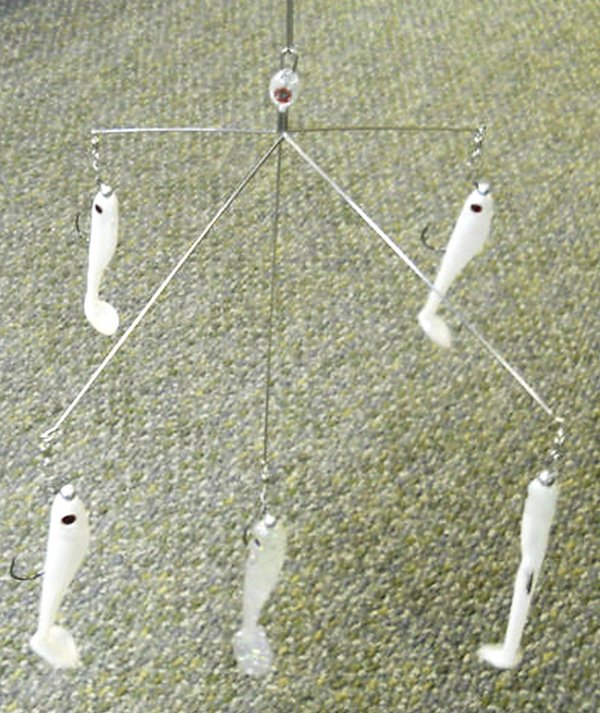 Angler Wins Bass Classic | Northwest Arkansas Democrat-Gazette