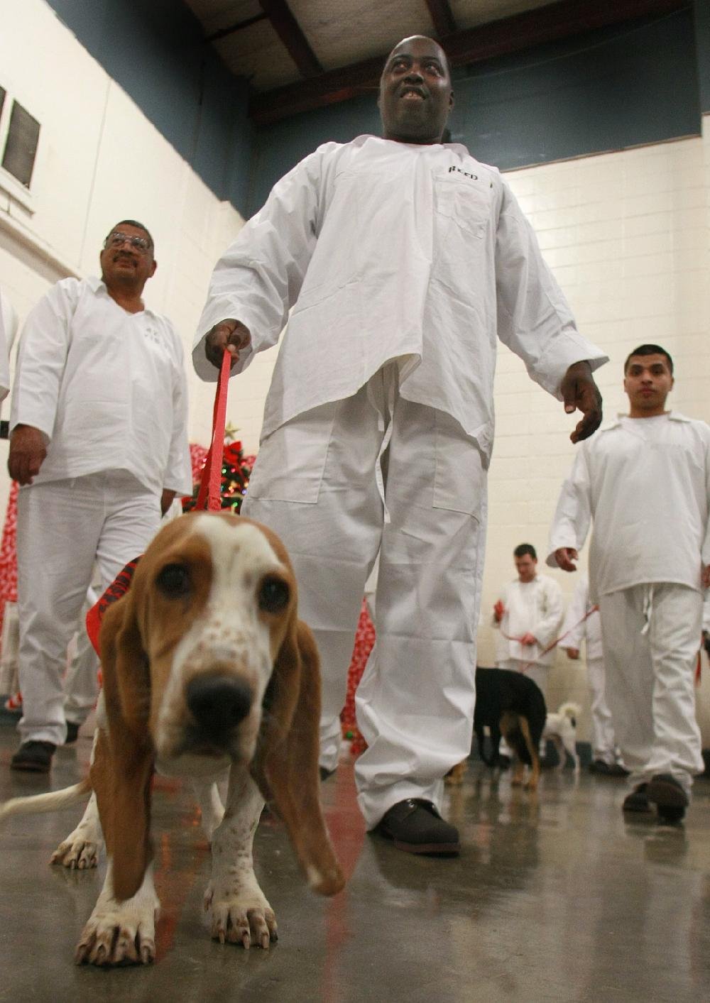Prison program affords inmates, pooches new leashes on life