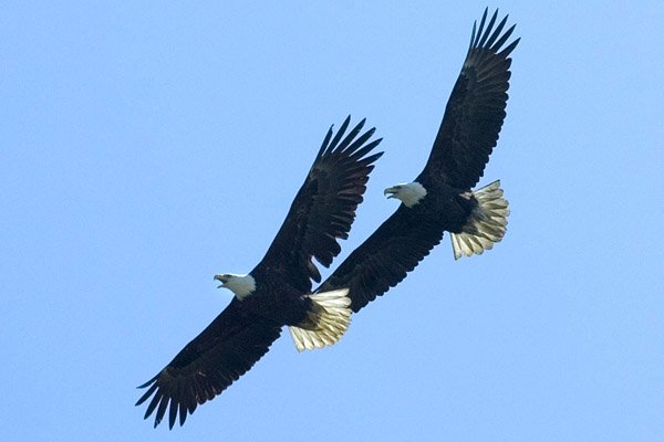 THE WEEKEND TEN | The Arkansas Democrat-Gazette - Arkansas' Best News ...