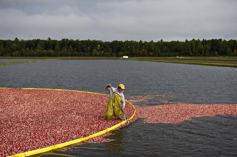As cranberry snack booms, raisin trade puts up its dukes | Northwest ...