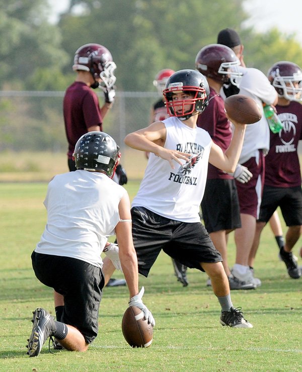 Experience A Plus For Blackhawks | Northwest Arkansas Democrat-Gazette