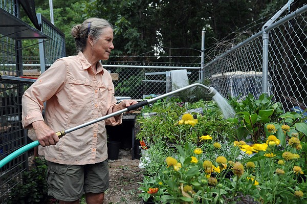 OASIS In The Drought | Northwest Arkansas Democrat-Gazette