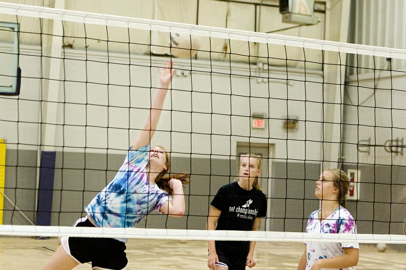 Lady Cats face tough conference challenge after realignment | The ...