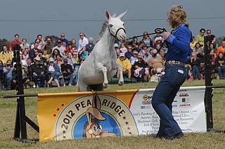 Pea Ridge Goes To The Mules | Northwest Arkansas Democrat-Gazette