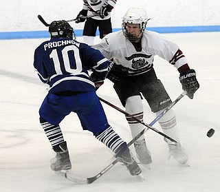 Ice Hogs Fall To Hawklets | Northwest Arkansas Democrat-Gazette