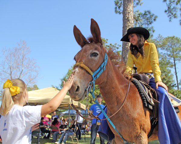 Memorial service set for SAU mule mascot | The Arkansas Democrat ...