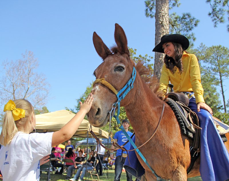 Memorial service set for SAU mule mascot | The Arkansas Democrat ...