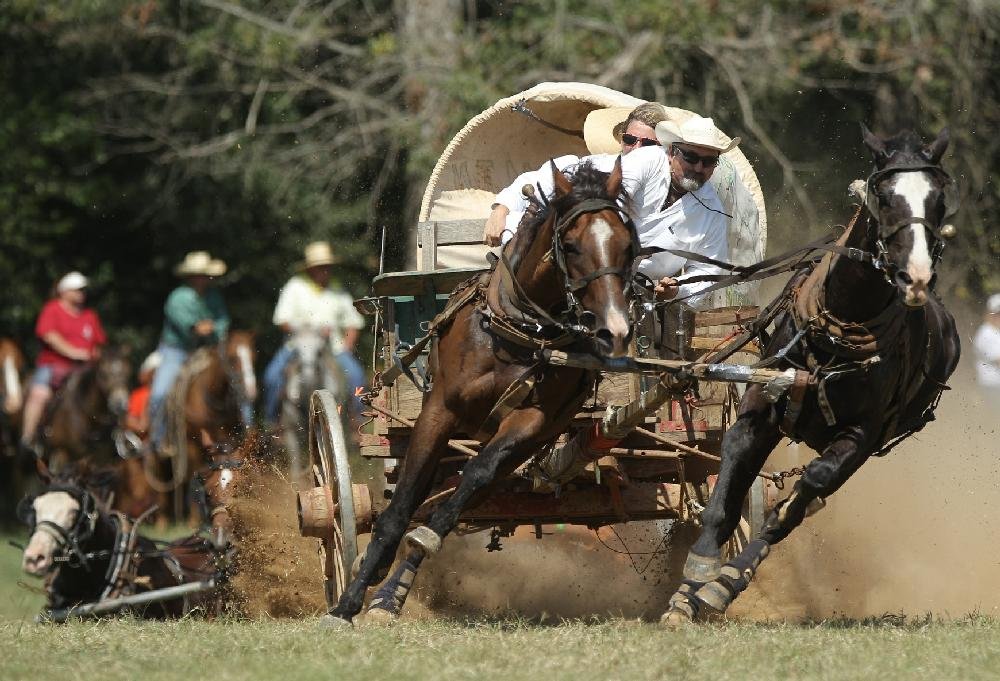 National Championship Chuckwagon Races