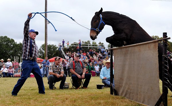 Pea Ridge Jump Brings Joy | Northwest Arkansas Democrat-Gazette