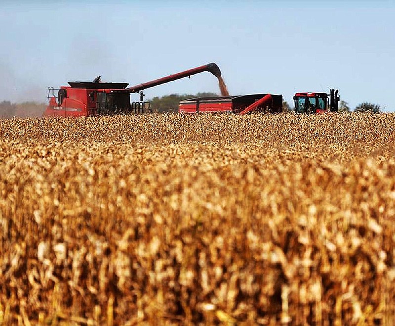 Report: State's corn, soybean acres rise, but cotton falls | The ...