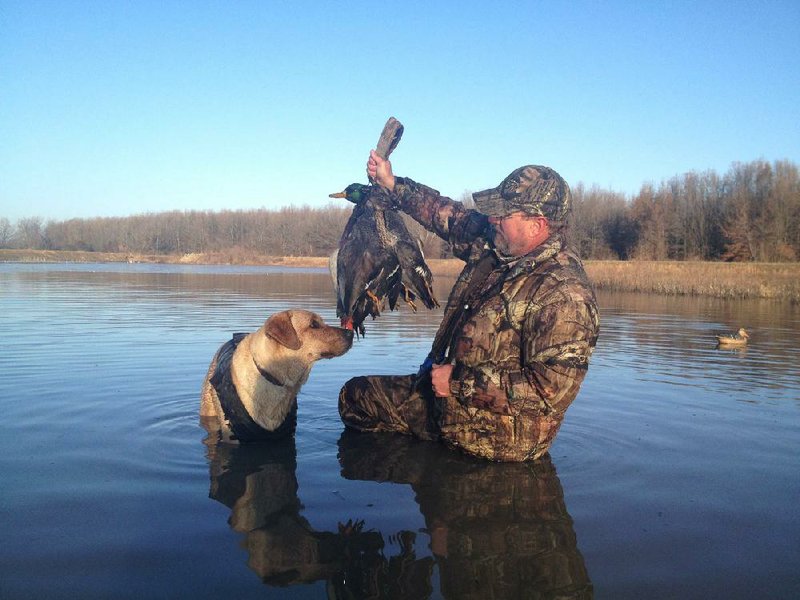 Happy New Year | Northwest Arkansas Democrat-Gazette