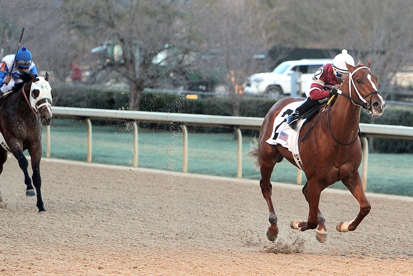 Tapiture too much in Southwest | Hot Springs Sentinel Record