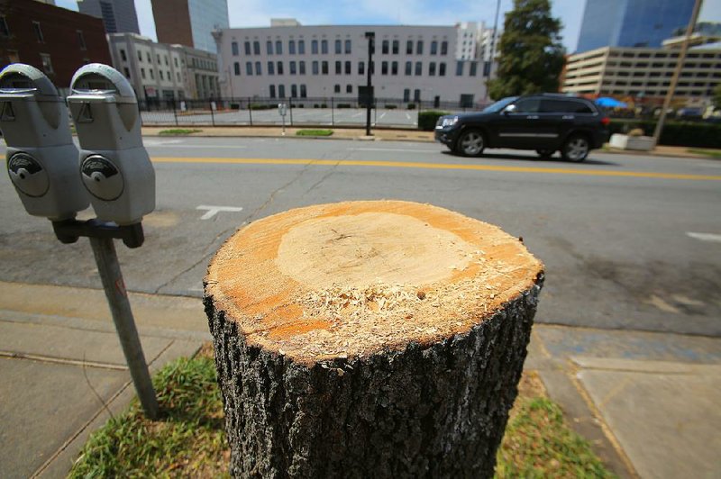 ICYMI: Downtown trees chopped down for water project | The Arkansas ...