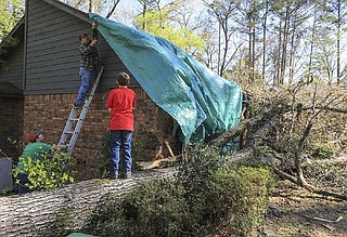 jonathan mccallister