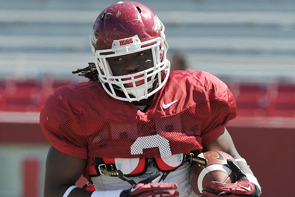 UA back working into fold | Northwest Arkansas Democrat-Gazette