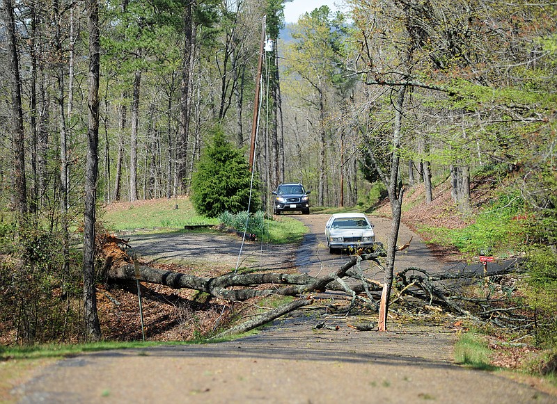 Storm topples trees, downs power lines | Hot Springs Sentinel Record