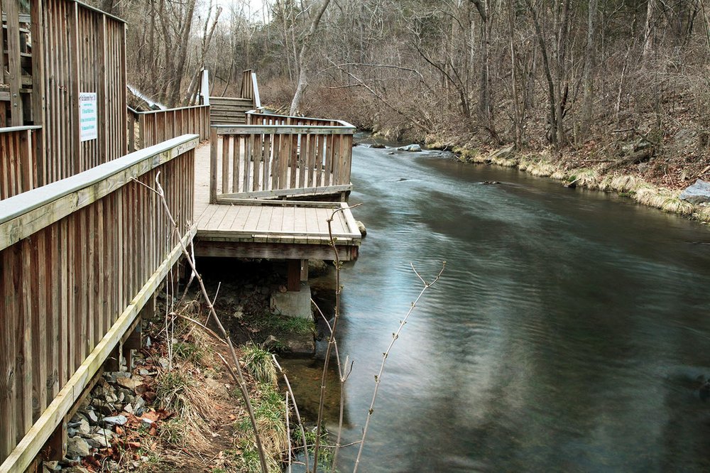 Dry Run Creek offers special fishing experience