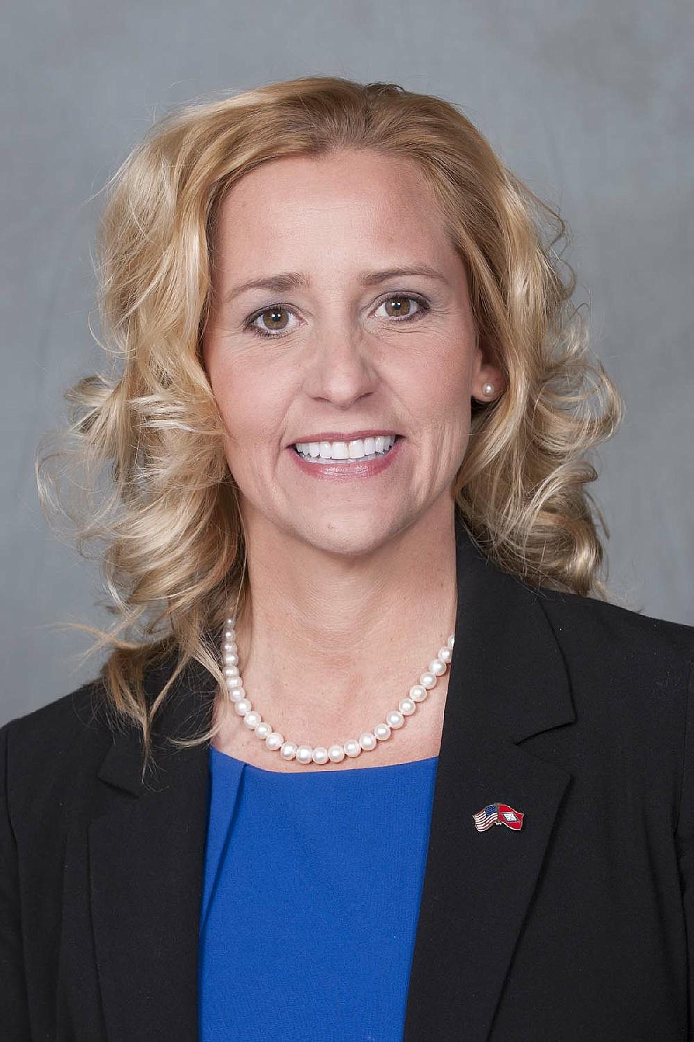 Rutledge sets top issues for coming tenure | The Arkansas Democrat ...