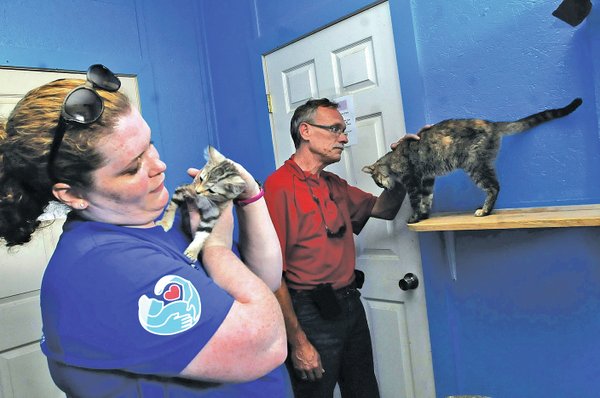 Rogers Animal Shelter Receives $50,000 Grant For Renovation | Northwest ...