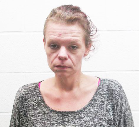 Homeless woman arrested after allegedly attacking parents | Hot Springs ...