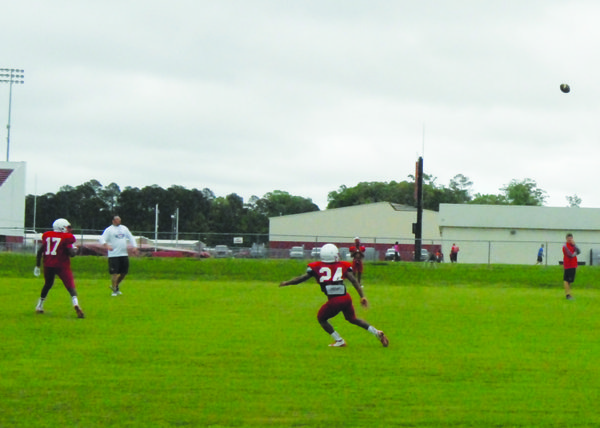 Ball hawk | Camden News