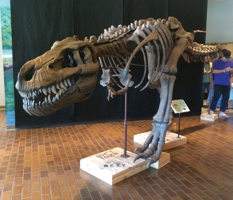 Learning the truth | El Dorado News