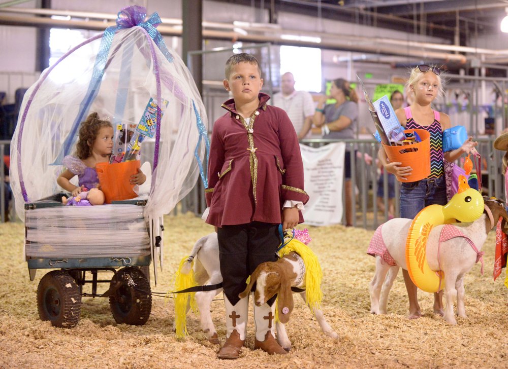 Kids, goats parade in costume at fair