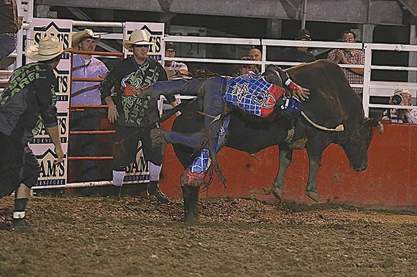 Enjoy the Buckin': PBR event promises excitement for bull riding fans ...