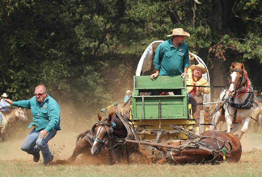 Chuckwagon Races
