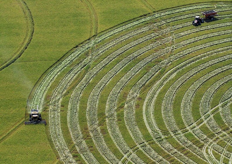 State's rice harvest down from '14 | The Arkansas Democrat-Gazette ...