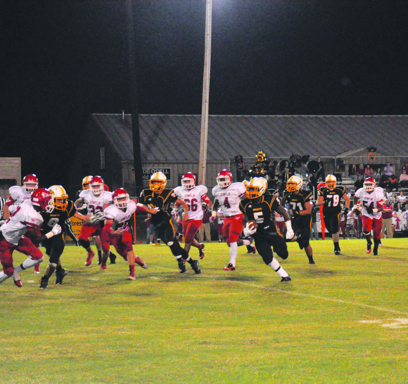 Hornets dominate McGehee | Camden News