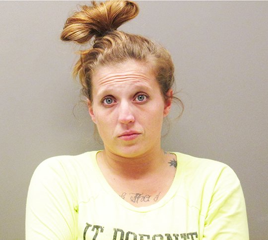 Woman Pleads Guilty To Drug Charge Hot Springs Sentinel Record