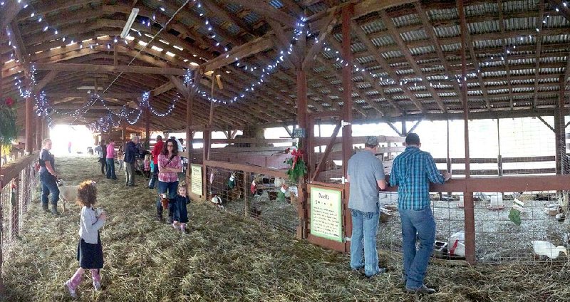 Heifer Ranch to light up night with Open House | The Arkansas Democrat ...