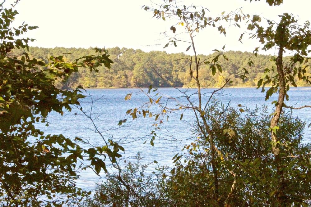 Happy Trails: DeGray Lake Sunset Trail