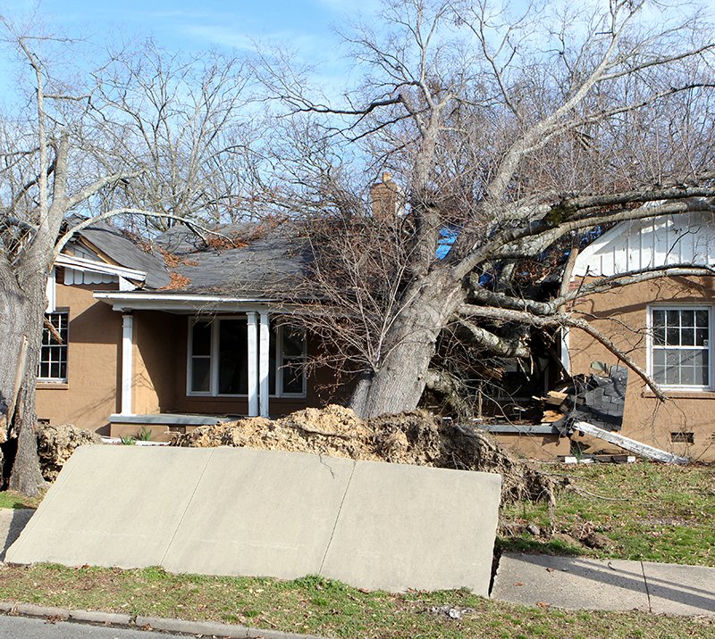 City faces removing fallen trees from house | Hot Springs Sentinel Record