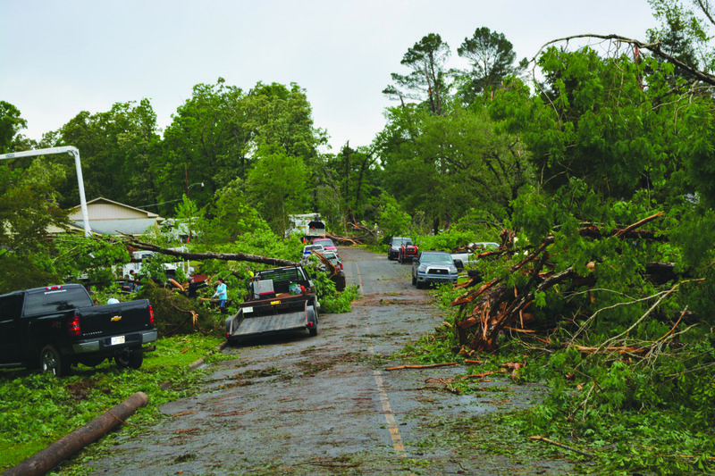 Wind bursts leave severe area damage | Camden News