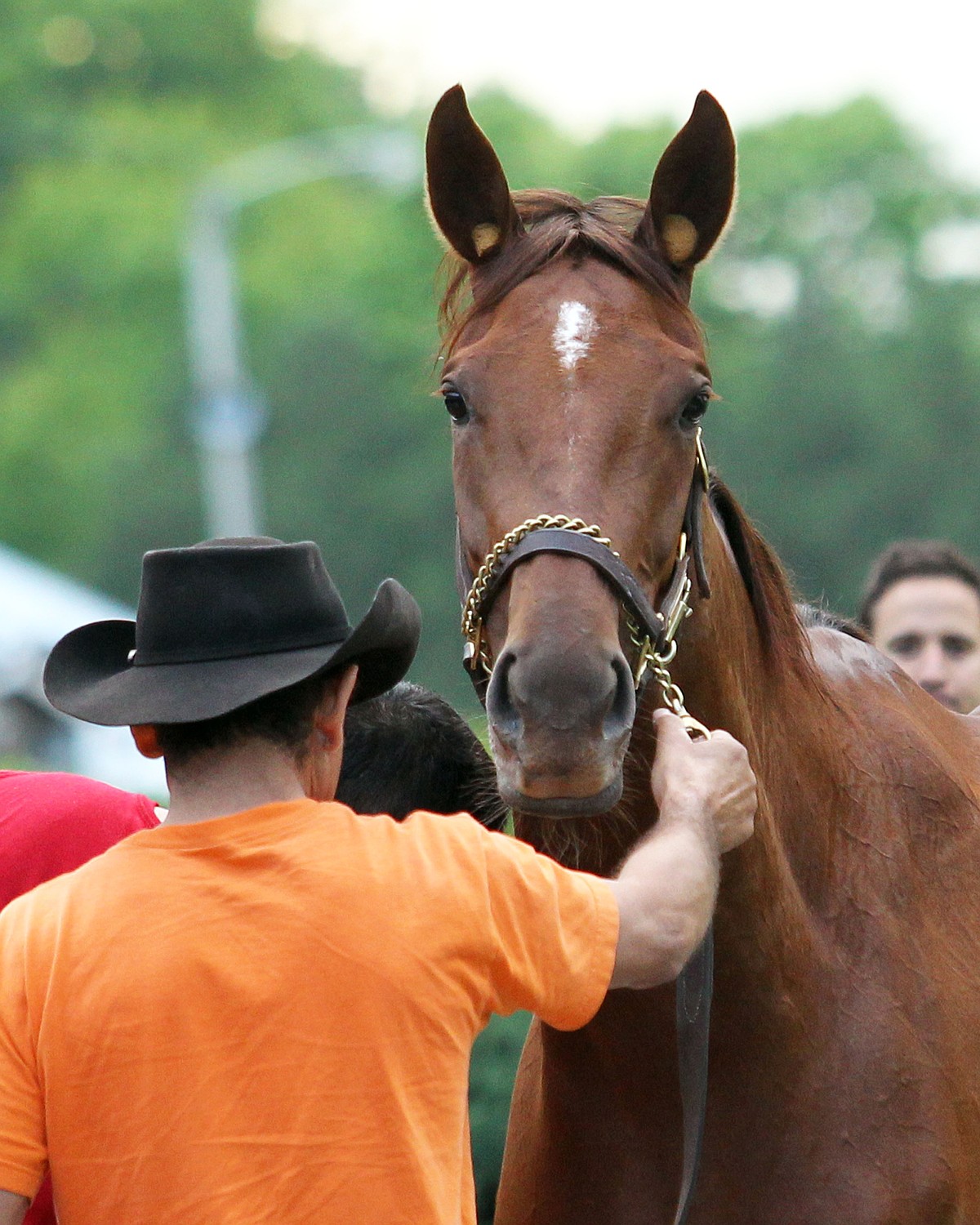 Oaks changes with Songbird out | Hot Springs Sentinel Record