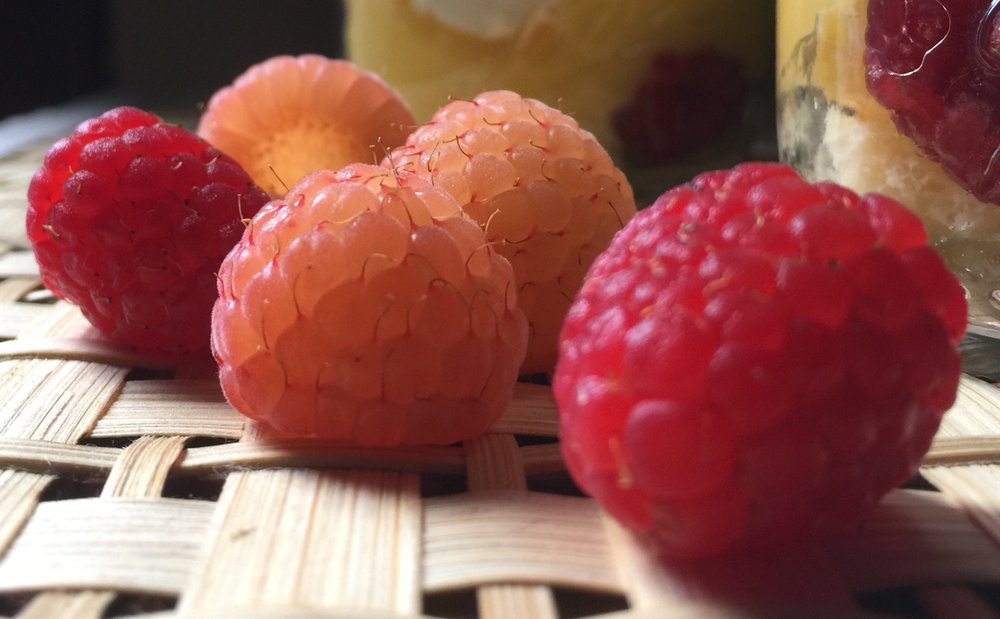 FRONT BURNER: Raspberry mixture makes sunny sauce