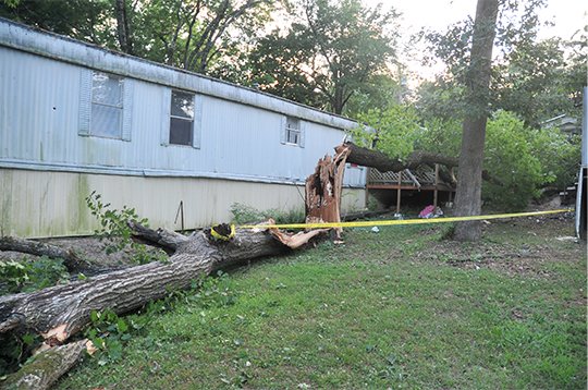 Fallen tree causes injuries | Hot Springs Sentinel Record