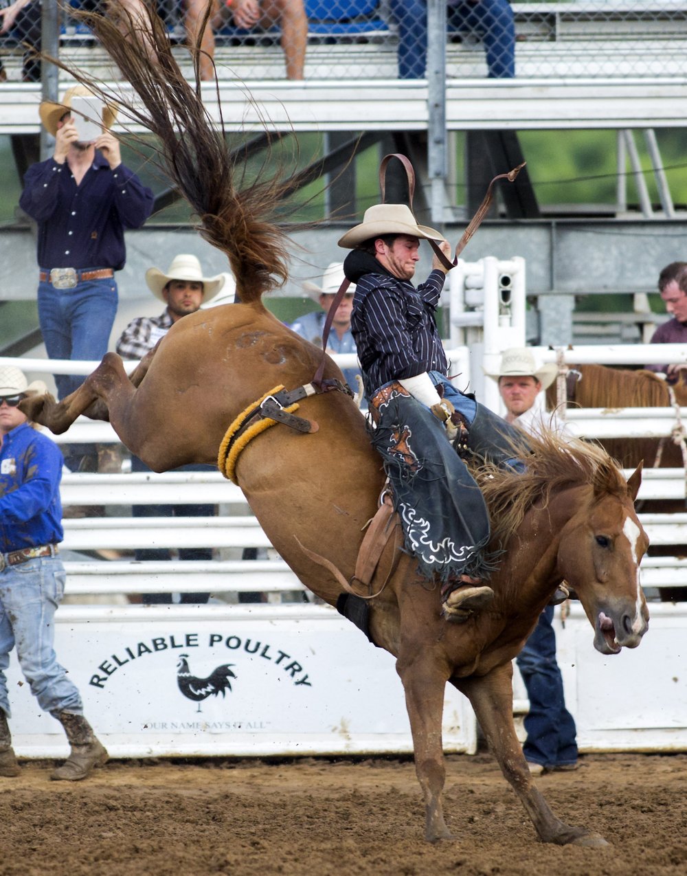 Bareback riders get rodeo off to a good start