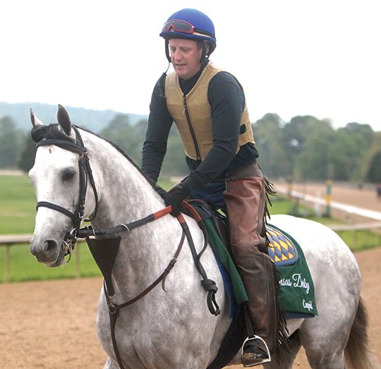 Oaklawn star Cupid wins in Indiana | Hot Springs Sentinel Record