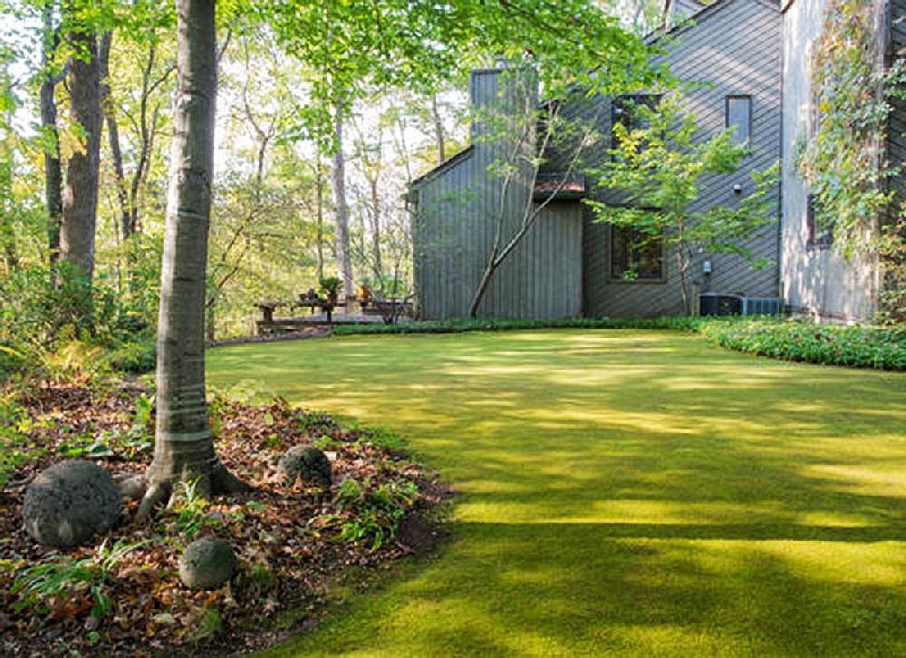Moss garden, lawn simple, green, cool | Northwest Arkansas Democrat-Gazette