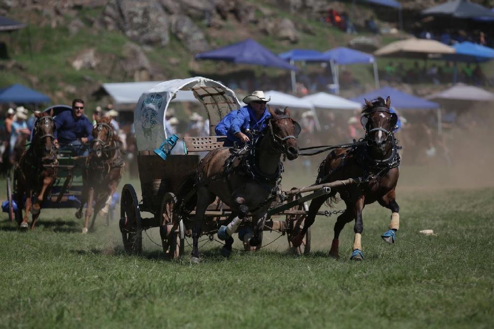 2016 National Championship Chuckwagon Race