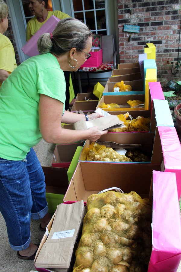 Bulb | El Dorado News