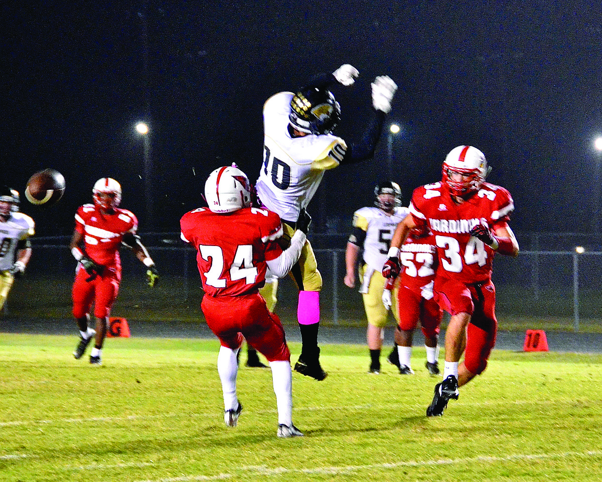 Just in Case | Camden News