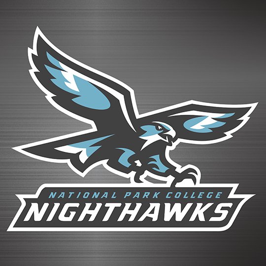Nighthawks take flight