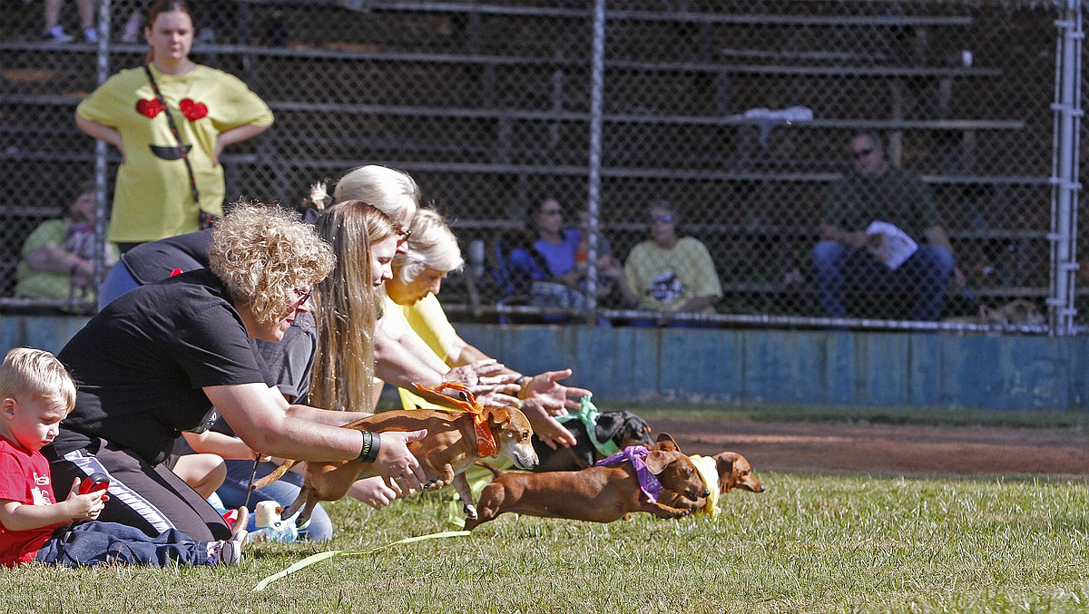 Wiener Race | El Dorado News