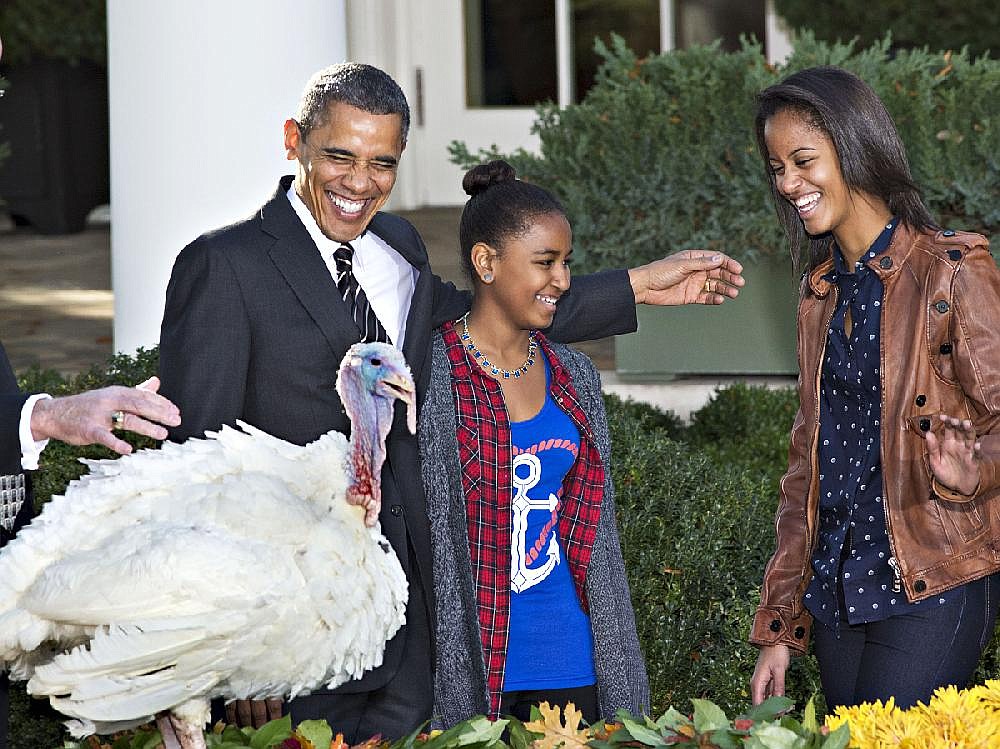 Turkey pardons elicit cackles, ruffled feathers | The Arkansas Democrat ...